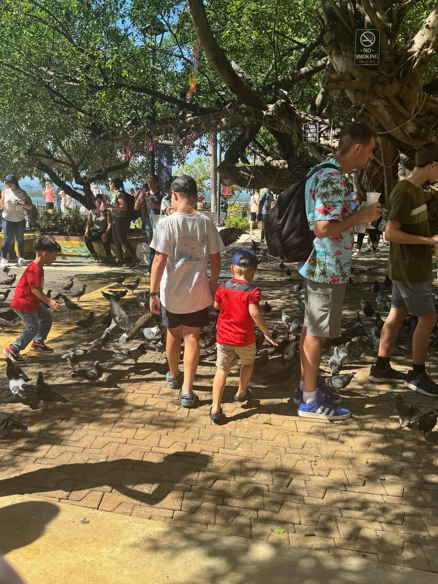 Puerto Rico with Kids: The Ultimate 7-Day Family Vacation Itinerary ...